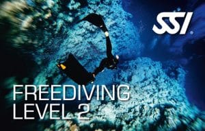 The 14 Best Freediving Movies of All Time! Stuff to Share!